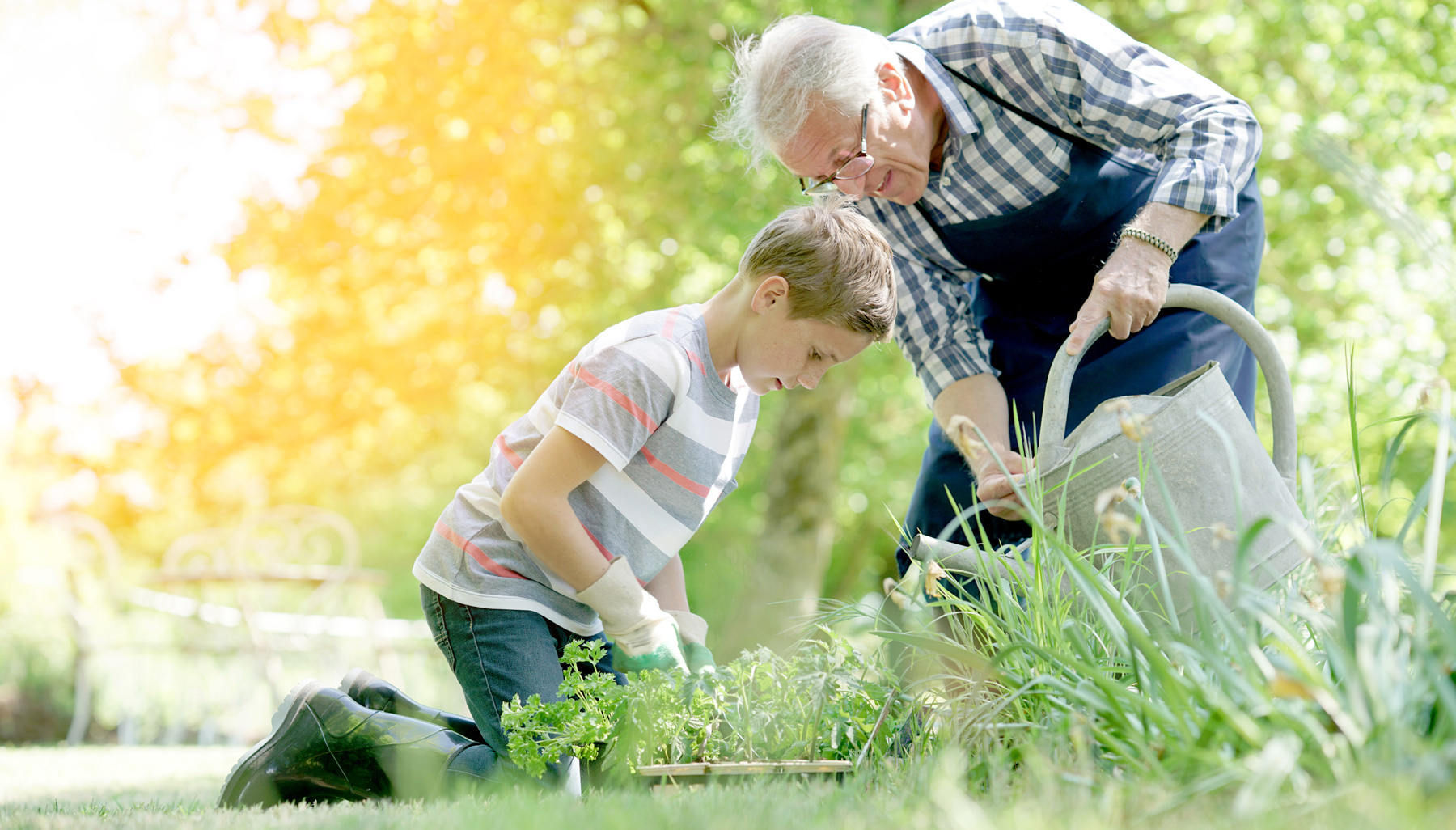 Overview - Heritage Wills Advisory